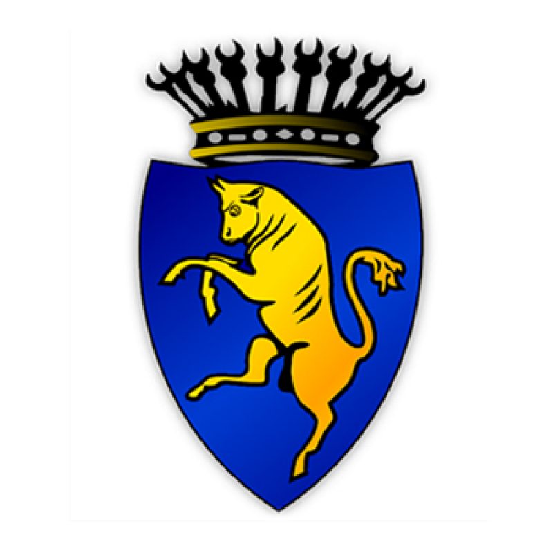 Comune di Torino - Federculture